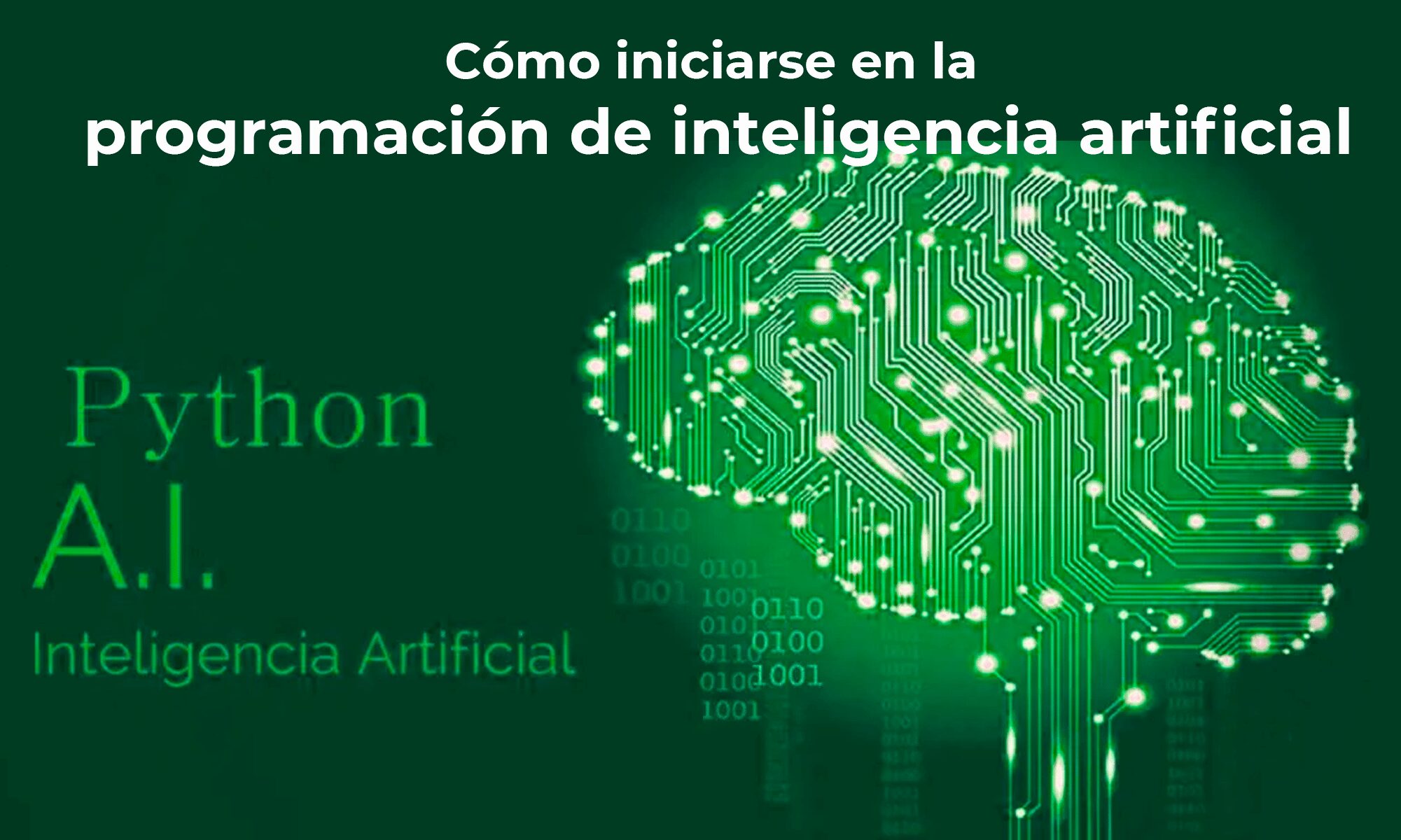 DOMINA la CONSTRUCCIÓN y ENTRENAMIENTO de IA en PYTHON y R
