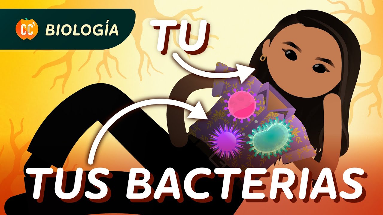Descubre cómo el 50% de tu cuerpo está compuesto por bacterias: Curso ...